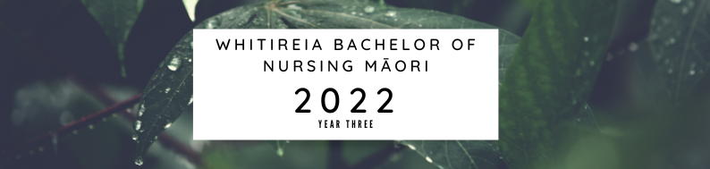 Search results | Whitireia&WelTec Moodle